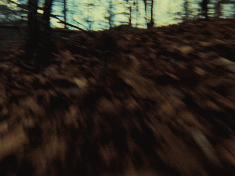 Evil Dead Horror Gif By Coolidge Corner Theatre Find