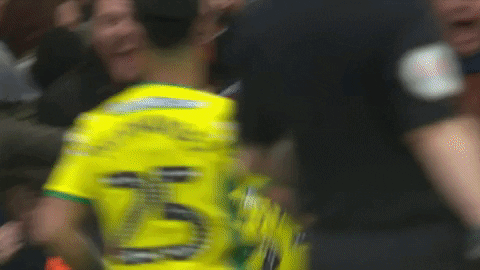 Norwich City Football Club GIF - Find & Share on GIPHY