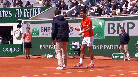 Novak Djokovic Sport GIF by Roland-Garros - Find & Share on GIPHY