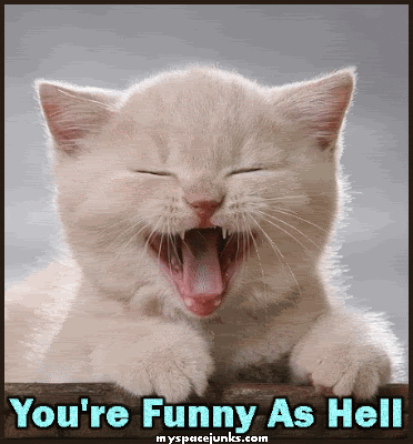 Laughing GIFs - Find & Share on GIPHY