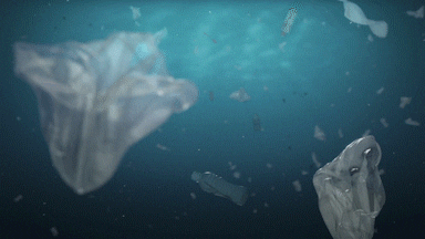 Ocean Pollution GIF by VEOCEL by Lenzing - Find & Share on GIPHY