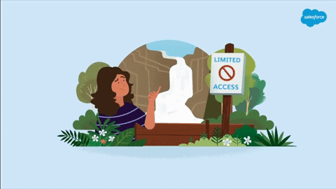 All Access Developer GIF by Salesforce - Find & Share on GIPHY