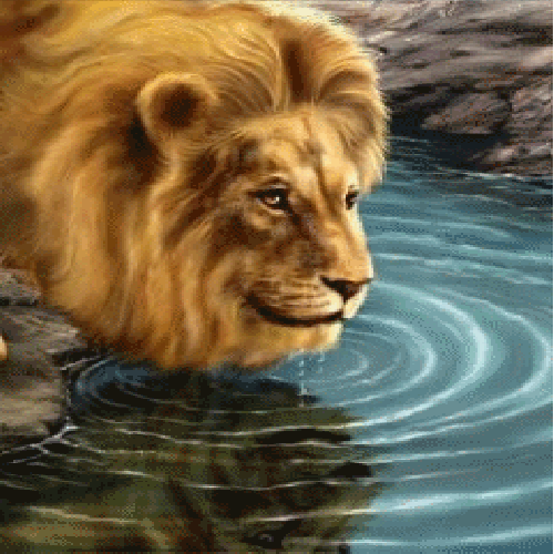 Leon GIF - Find & Share on GIPHY