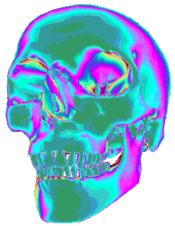 Skull Sticker by badblueprints for iOS & Android | GIPHY