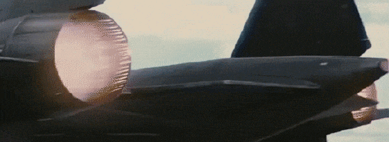 Blackbird GIFs - Find & Share on GIPHY