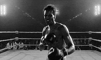 Raging Bull GIF - Find & Share on GIPHY