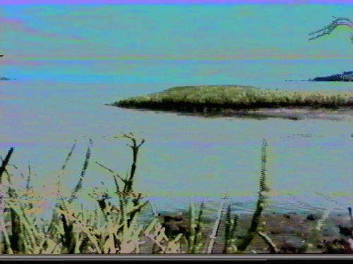 Glitch Vhs Find And Share On Giphy