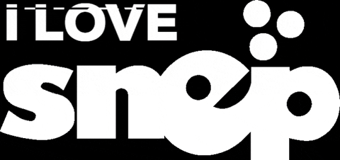 Logo Snep GIF by Snep S.p.A. - Find & Share on GIPHY