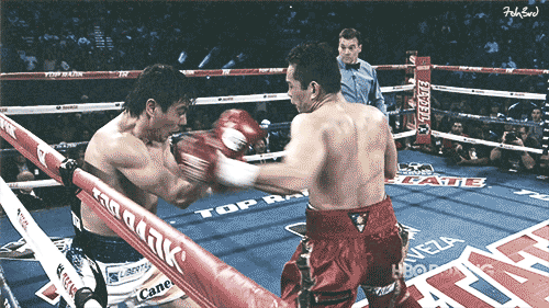 Boxing GIF - Find & Share on GIPHY