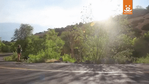 Animal Shelter Save Them All GIF by Best Friends Animal Society - Find ...