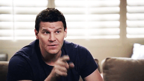 Seeley Booth Bones Find And Share On Giphy