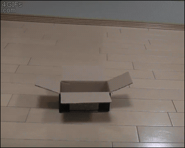 Box GIF - Find & Share on GIPHY