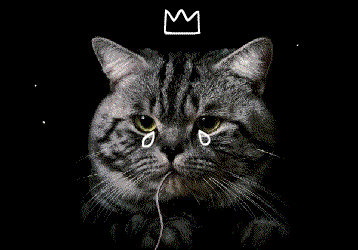 Crying Cat Gif