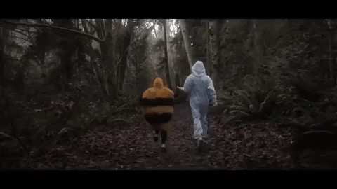 Bee Running GIF by The Head And The Heart - Find & Share on GIPHY