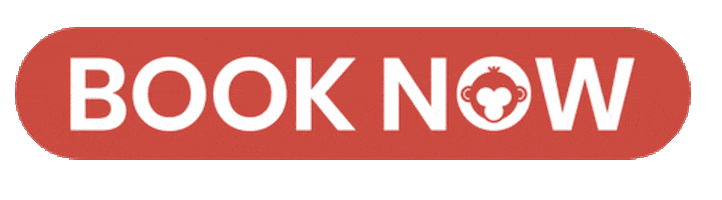 Book Booking Sticker by Highape for iOS & Android | GIPHY