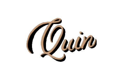 Quin The Cat Sticker by QUIN for iOS & Android | GIPHY