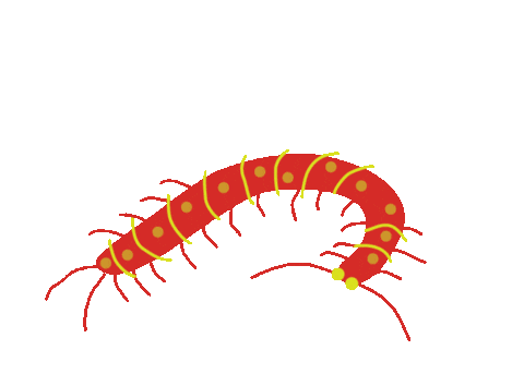 Forest Bug Sticker by Julia Gluyas for iOS & Android | GIPHY