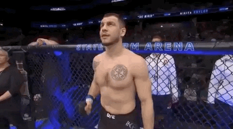UFC GIF - Find & Share on GIPHY