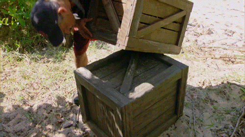 Looking Boston Rob GIF by CBS - Find & Share on GIPHY