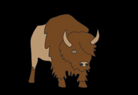 Bison Aw19 GIF by CarlijnQ - Find & Share on GIPHY