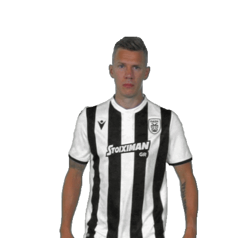 Football Paokfamily Sticker by PAOK FC for iOS & Android | GIPHY