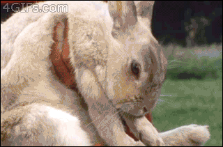 Hand Helping GIF - Find & Share on GIPHY