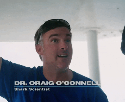 Discovery Craig Oconnell GIF by Shark Week - Find & Share on GIPHY