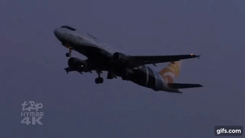 A320 GIFs - Find & Share on GIPHY