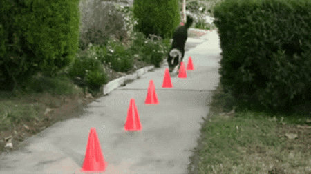 Course Obstacle GIF - Find & Share on GIPHY
