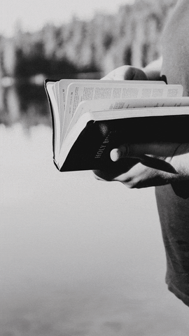 Bible In A Year GIFs - Get the best GIF on GIPHY