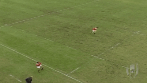 Usa Rugby Sport GIF by Rugby World Cup - Find & Share on GIPHY