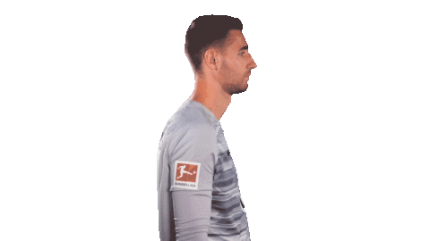 Koen Casteels Soccer Sticker by VfL Wolfsburg for iOS & Android | GIPHY