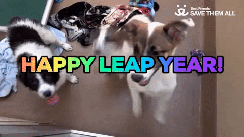 Save Them All Leap Day GIF by Best Friends Animal Society - Find ...