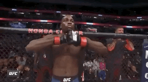 Sport Mma GIF by UFC - Find & Share on GIPHY