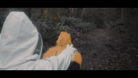 Bee Running GIF by The Head And The Heart - Find & Share on GIPHY