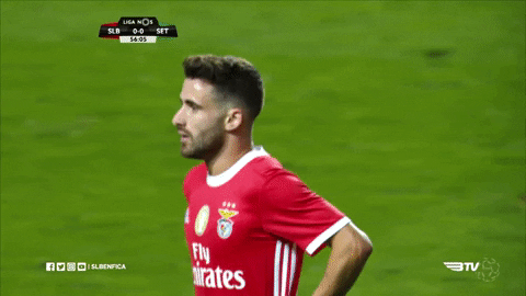 Sl Benfica Rafa GIF by Sport Lisboa e Benfica - Find & Share on GIPHY