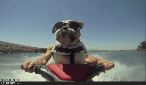 Chillin GIFs - Find & Share on GIPHY