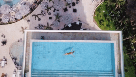 Luxury Hotel Pool GIF by PalladiumHotelGroup - Find & Share on GIPHY