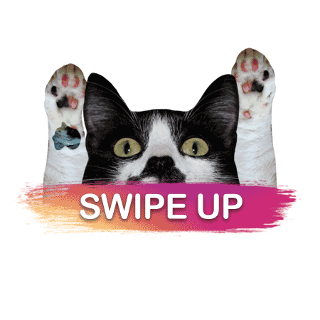 Cat Swipe Up Sticker for iOS & Android | GIPHY