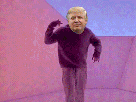 Donald Trump GIF - Find & Share on GIPHY