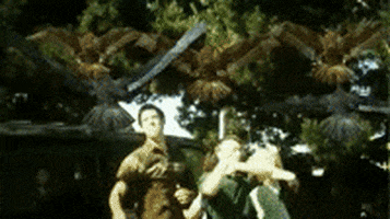 Birdemic GIFs - Find & Share on GIPHY