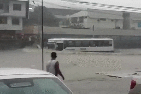 Flood GIFs - Find & Share on GIPHY