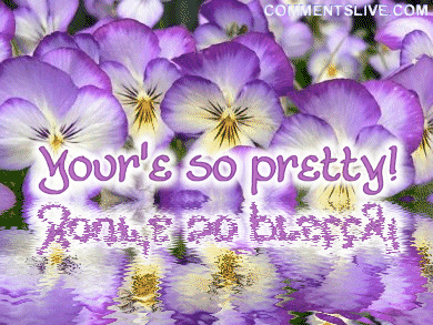 Pretty GIF - Find & Share on GIPHY