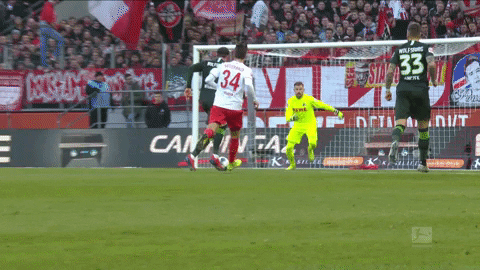 Save 1 Fc Cologne GIF by 1. FC Köln - Find & Share on GIPHY