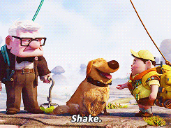 Up GIF - Find & Share on GIPHY