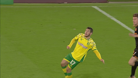 Norwich City Football Club GIF - Find & Share on GIPHY