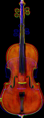 Cellospirit GIF - Find & Share on GIPHY