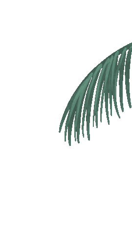 Palm Tree Beach Sticker by Oldkapaatown for iOS & Android | GIPHY