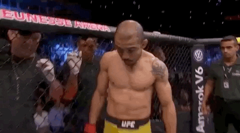 UFC GIF - Find & Share on GIPHY