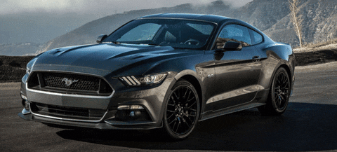 May Ford GIF - Find & Share on GIPHY